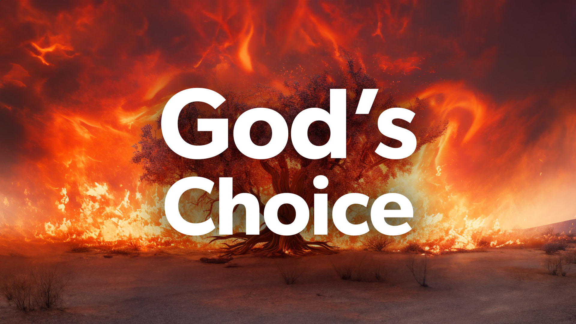 God's Choice | Steve Schobert | North Cities in Garland, TX