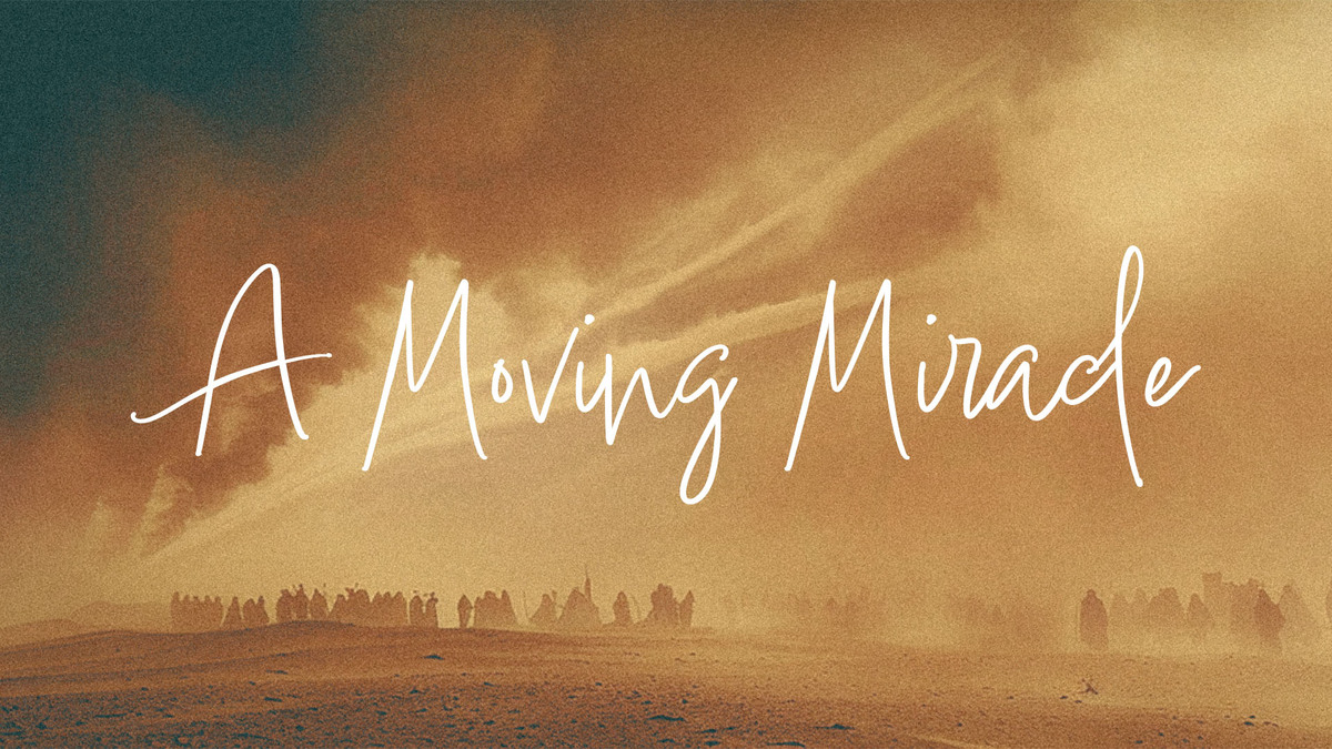 A Moving Miracle | D. G. Hargrove | North Cities in Garland, TX