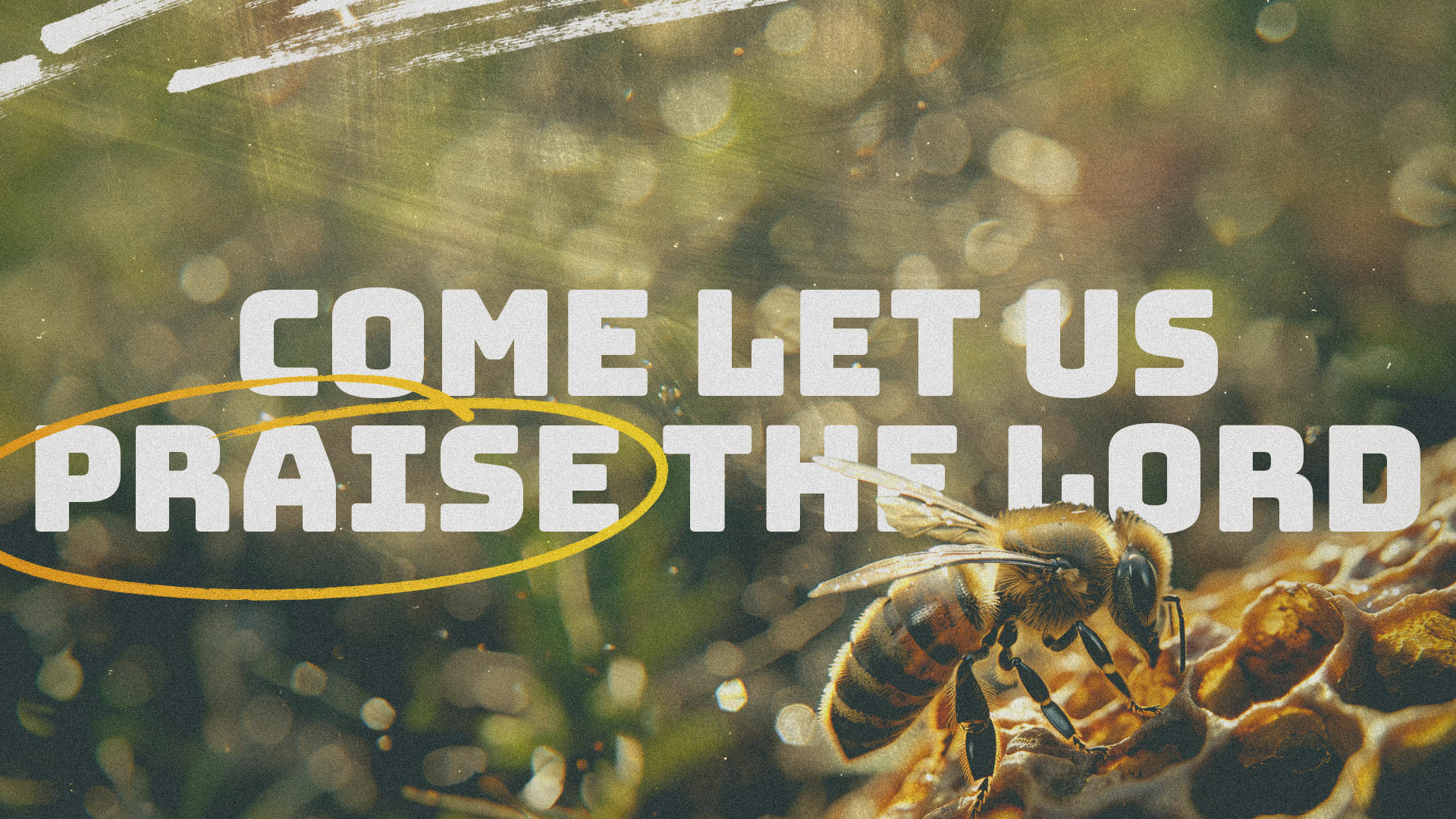 Come Let Us Praise the Lord | Jim Littles | North Cities in Garland, TX